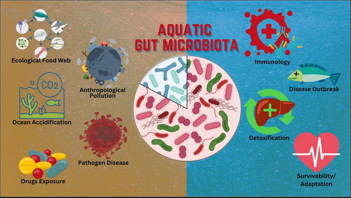 Aquatic microbiomes under stress: The role of gut microbiota in ...