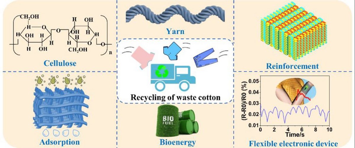 Current recycling strategies and high-value utilization of waste cotton